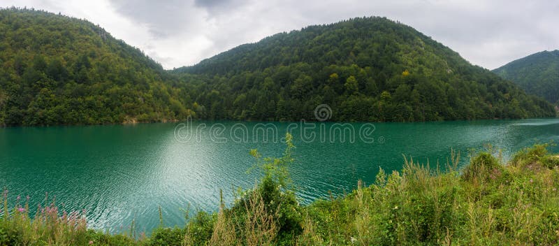 Emerald Green Water in the River on a Background of Forested Mou Stock ...