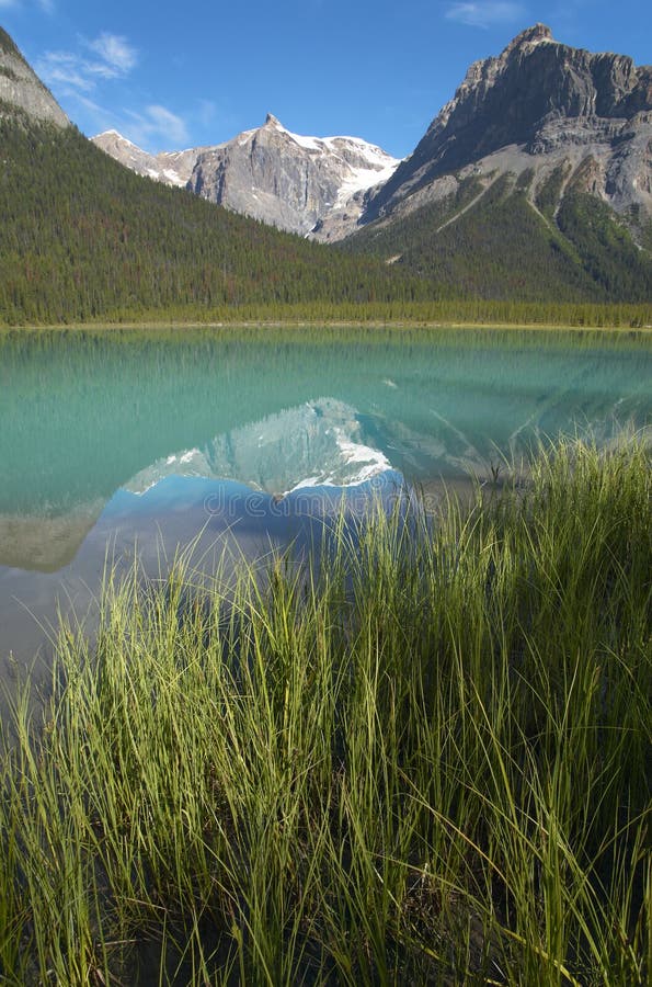 Emerald Lake Landscape. British Columbia Stock Image - Image of river ...
