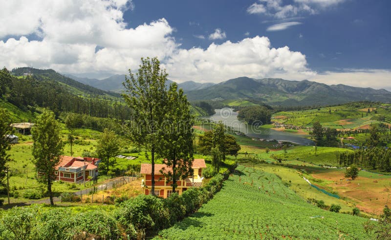 Emerald Lake, Nilgiris Ooty Stock Photo - Image of hills, agriculture ...