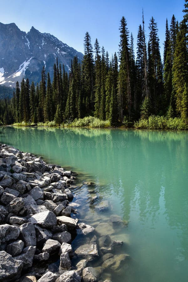 Emerald Lake Yoho National Park Stock Photo - Image of lake, tree ...