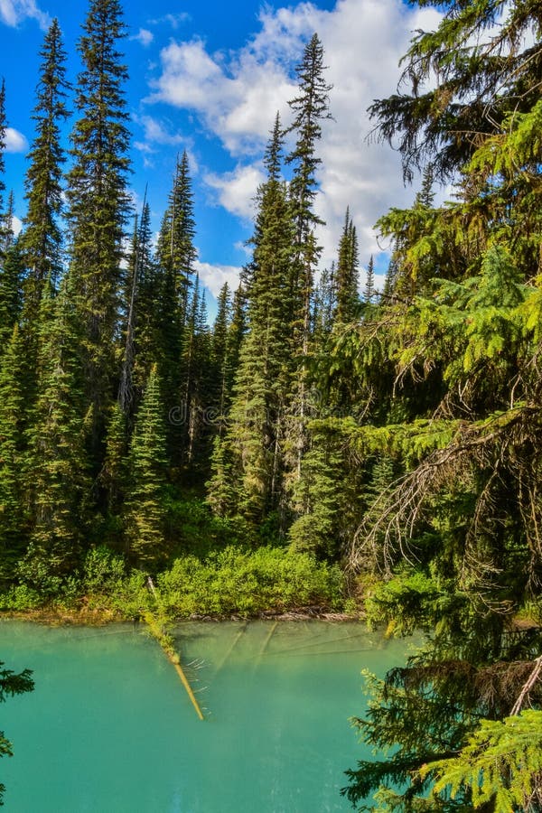 Emerald Lake Yoho National Park Stock Photo - Image of alpine, canoe ...