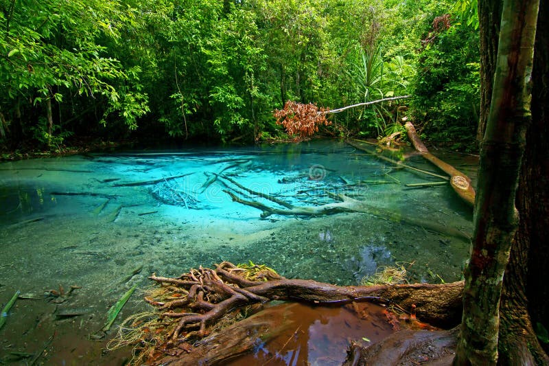 Emerald pool 6 stock image. Image of tree, shanty, tank - 45070071