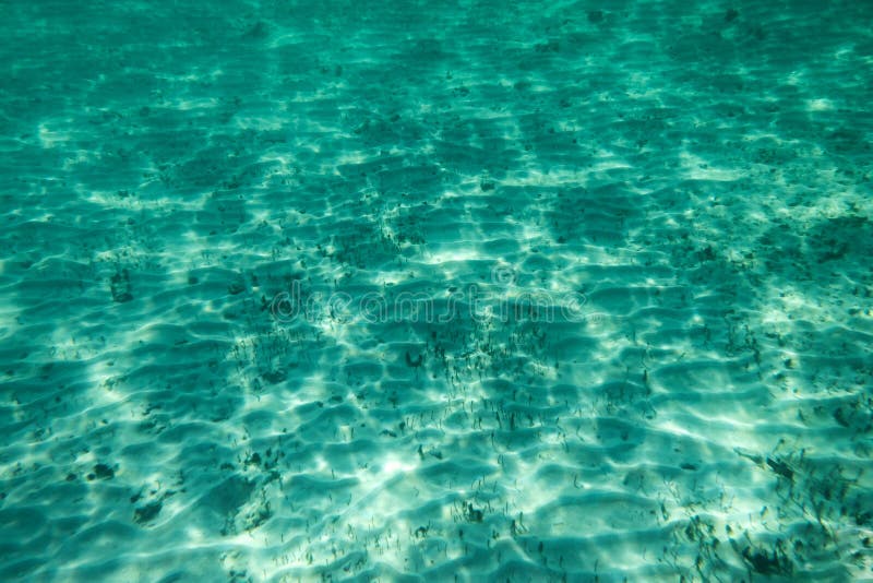 Emerald Sea with Ripple Reflection on Surface Stock Photo - Image of ...