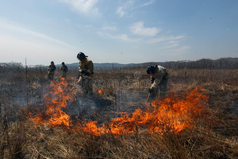 Fire Brigade Extinguishes a Burning Field. Editorial Photography ...