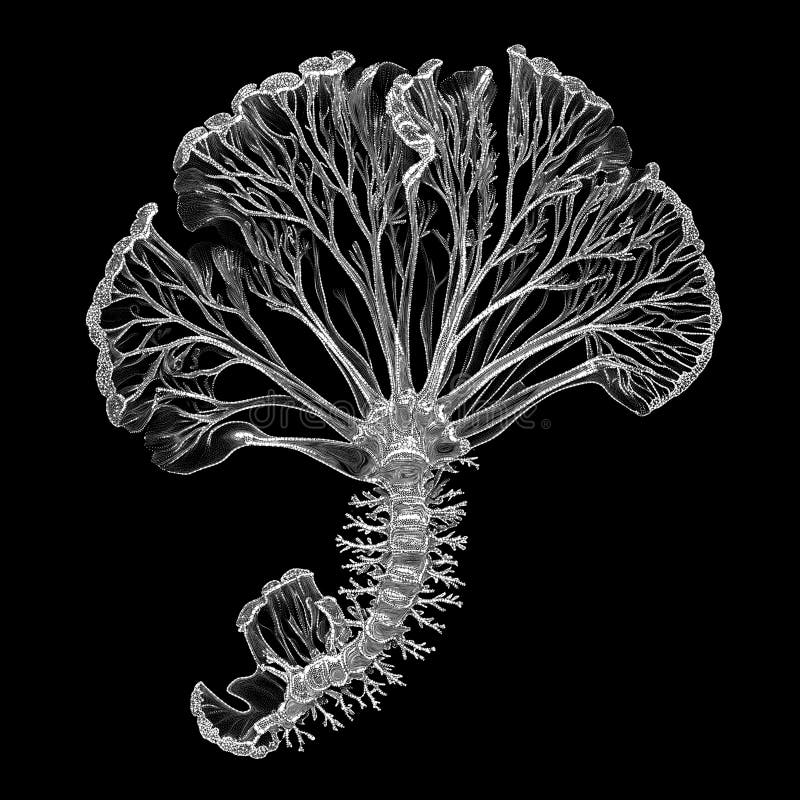 Emergence of Life Stippling Stock Illustration - Illustration of ...