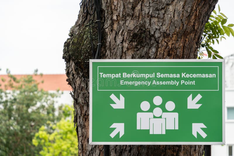Emergency Assembly Point Sign in the Park Stock Photo - Image of help ...