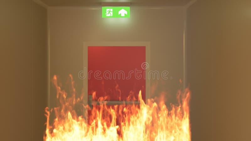 Emergency exit sign stock video. Video of signboard - 319963803