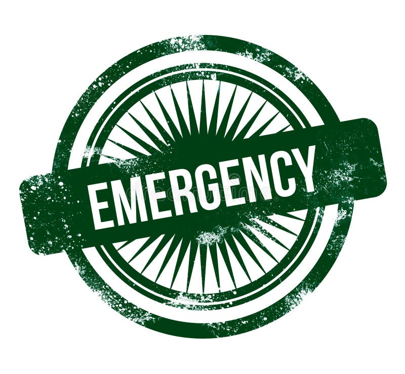 Emergency Green Fire Exit Sign, on the Ceiling at Night. Stock Image ...