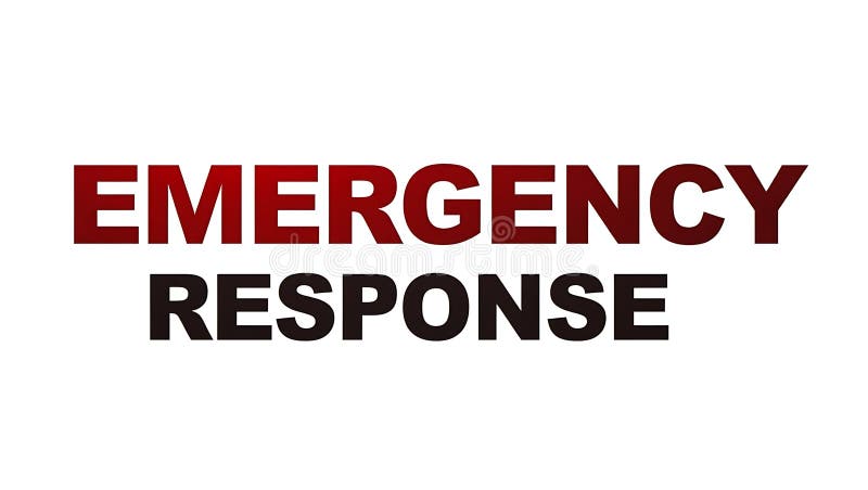 Emergency Response Guidelines for Effective Crisis Management in ...