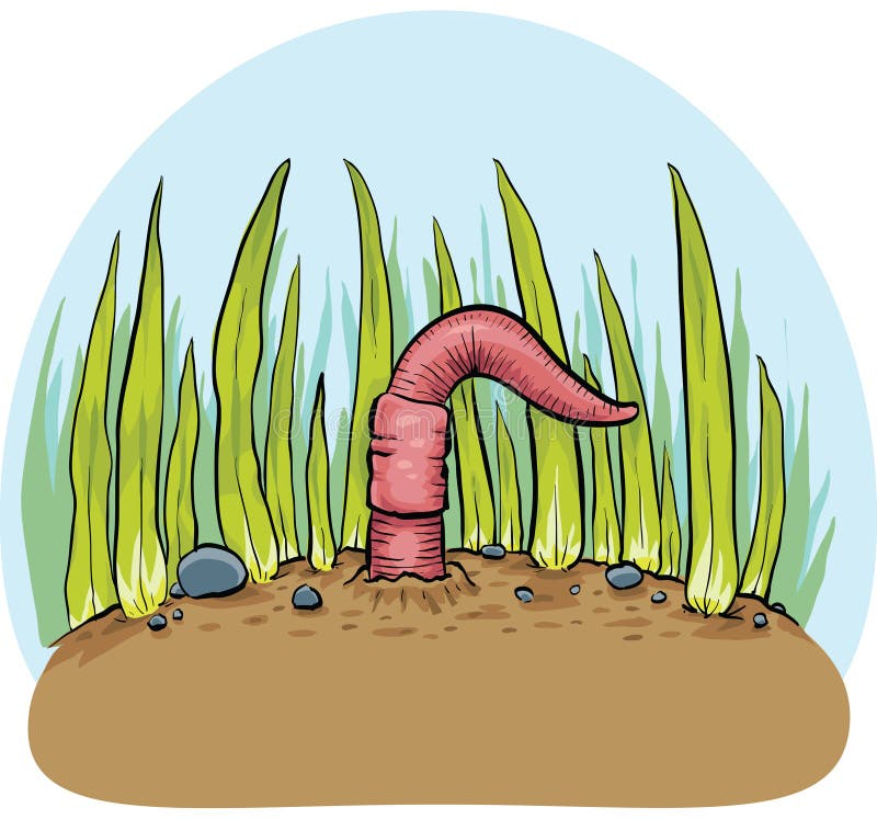 Earthworm Stock Illustrations – 3,603 Earthworm Stock Illustrations ...