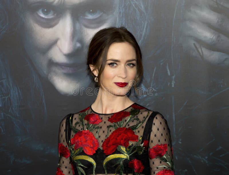 Emily stumpf redaktionelles stockbild. Bild von york - 47823934