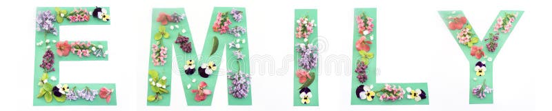 Emily Word Made of Paper and Spring Flowers Stock Photo - Image of ...
