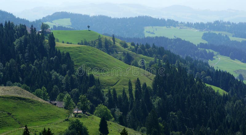Emmental stock photo. Image of kanton, farm, cheese, switzerland - 17233952