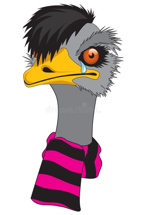 Emo stock vector. Illustration of wild, bird, isolated - 5197846