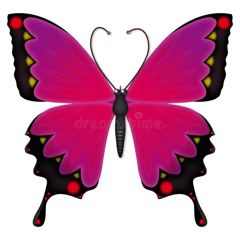 24+ Emo butterfly Free Stock Photos - StockFreeImages