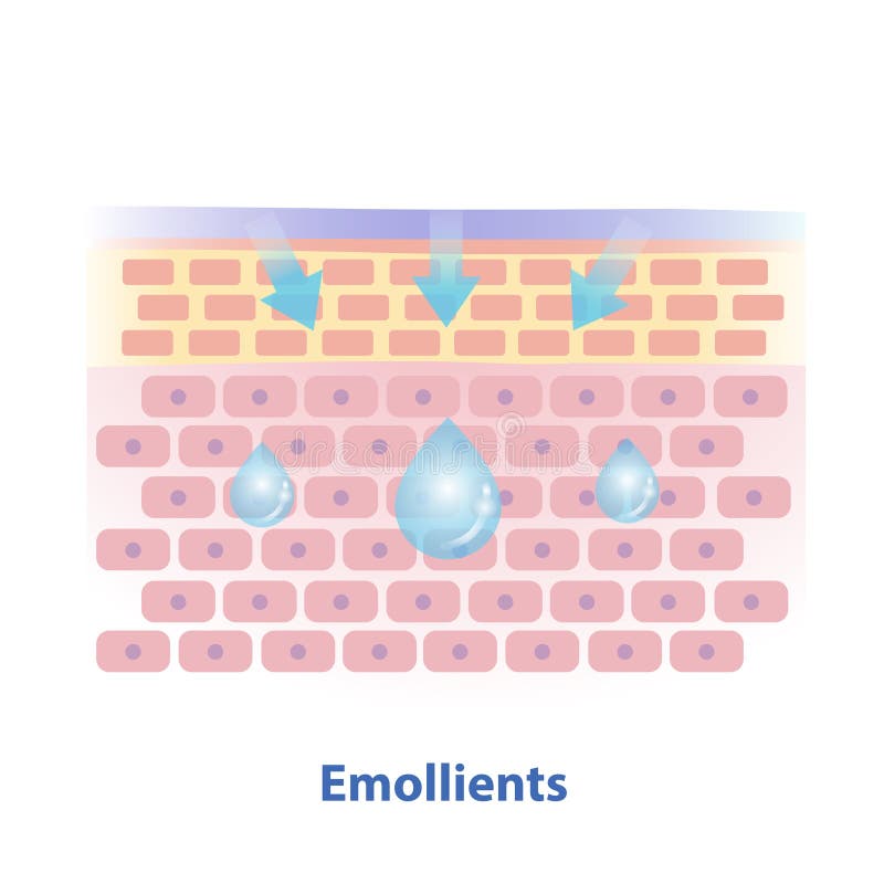 Emollients, Type of Moisturizer Vector Illustration Isolated on White ...