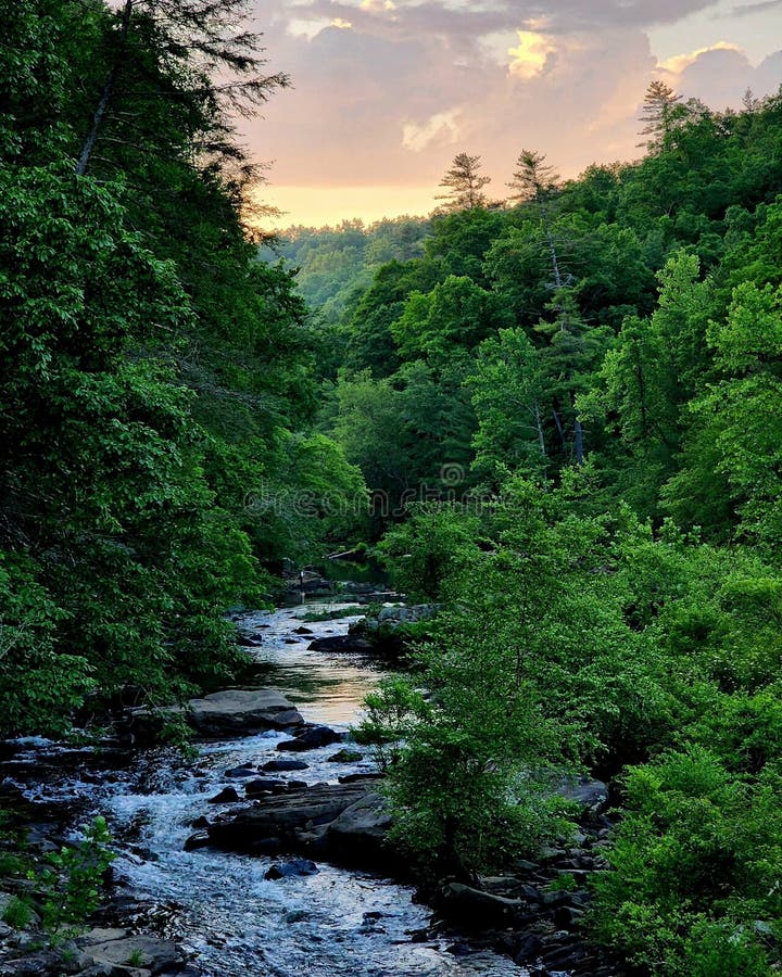 Emory River Obed Wild and Scenic River Stock Image - Image of obed ...