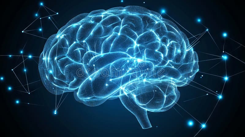 Emotional Brain Processing Map Highlighting Prefrontal Cortex and ...