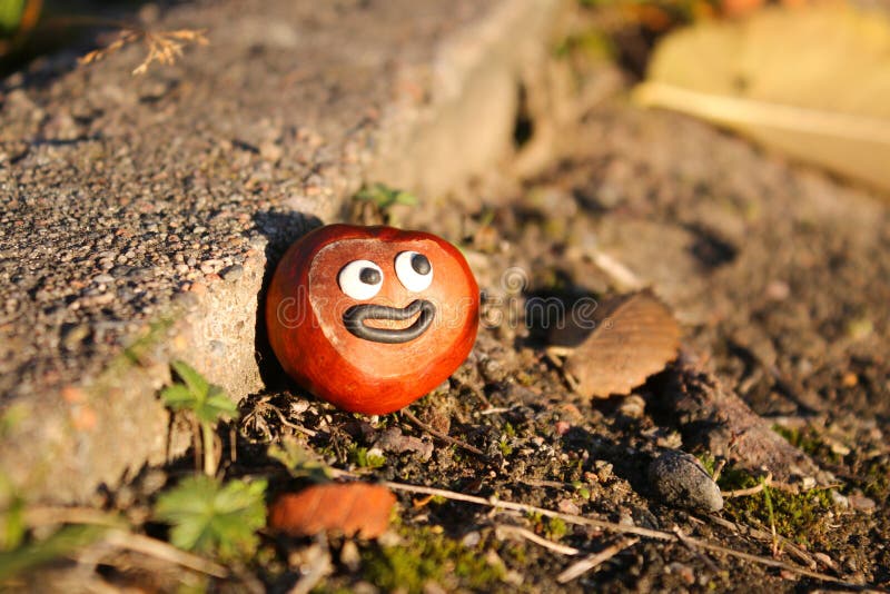 Emotional chestnut stock photo. Image of smile, creativity - 62096694