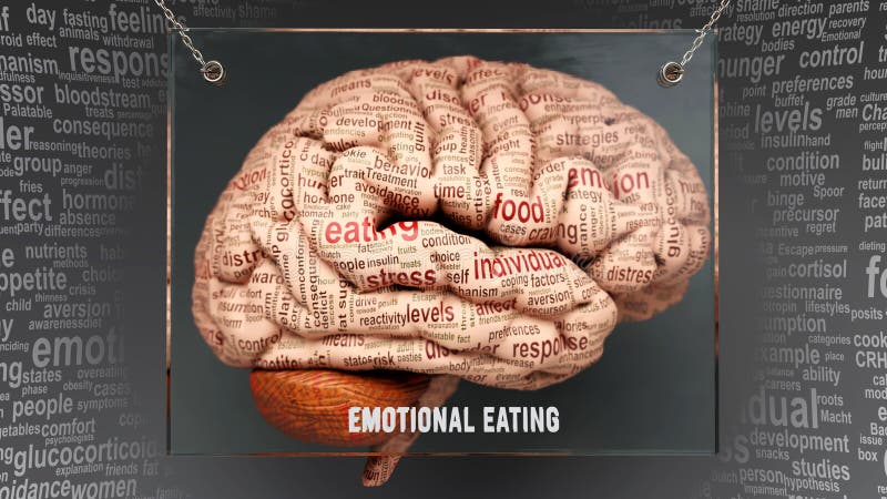 Emotional Eating in Human Brain Stock Illustration - Illustration of ...