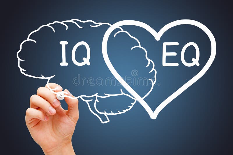 Emotional Intelligence EQ Plus IQ Heart and Brain Concept Stock Photo ...