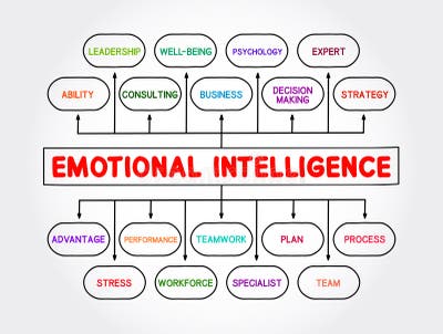 Emotional Intelligence Mind Map Flowchart Stock Illustrations – 20 ...
