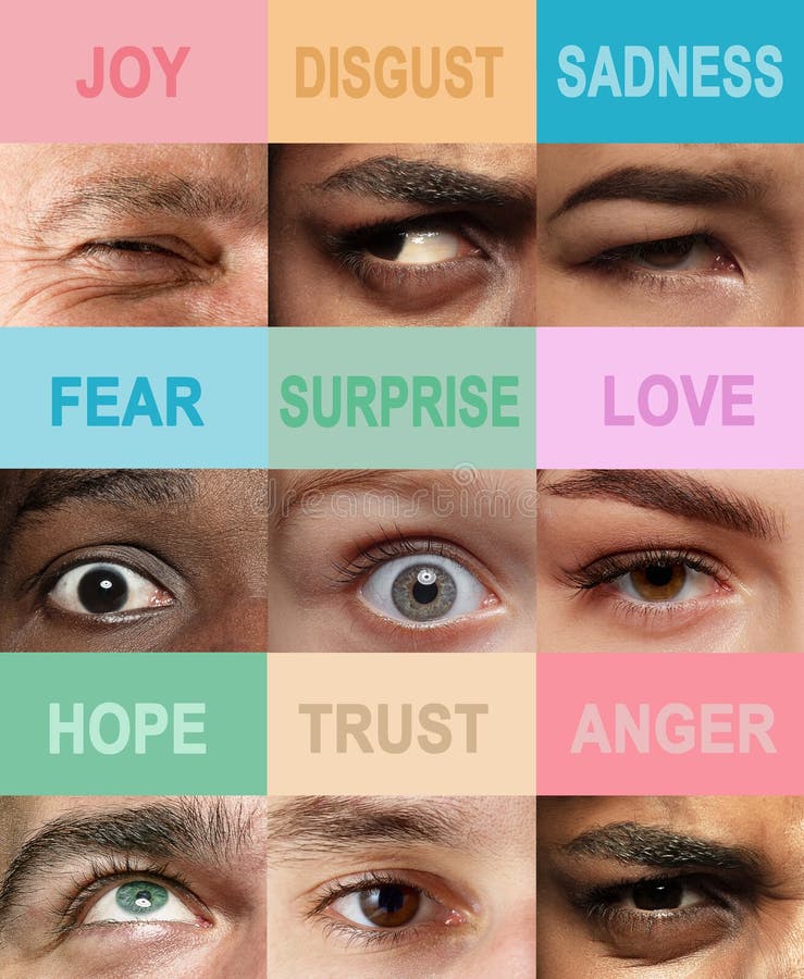 Emotions Expressed through Eyes and Brows in Colorful Visual Grid ...