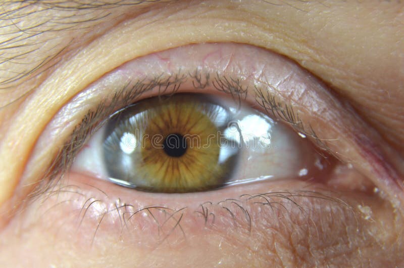 Emotions in an eye stock image. Image of female, close - 120621073