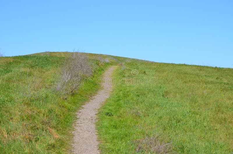 Path through field stock photo. Image of meadow, path - 176735616
