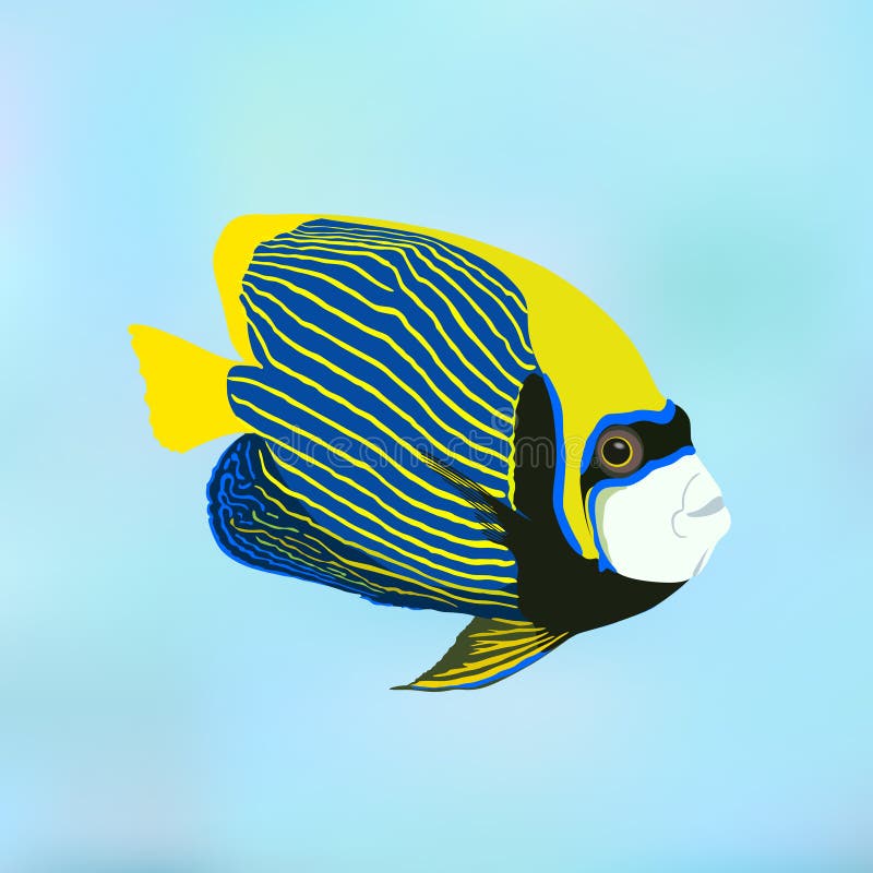 Emperor Angelfish Colourful Seamless Pattern. Stock Illustration ...