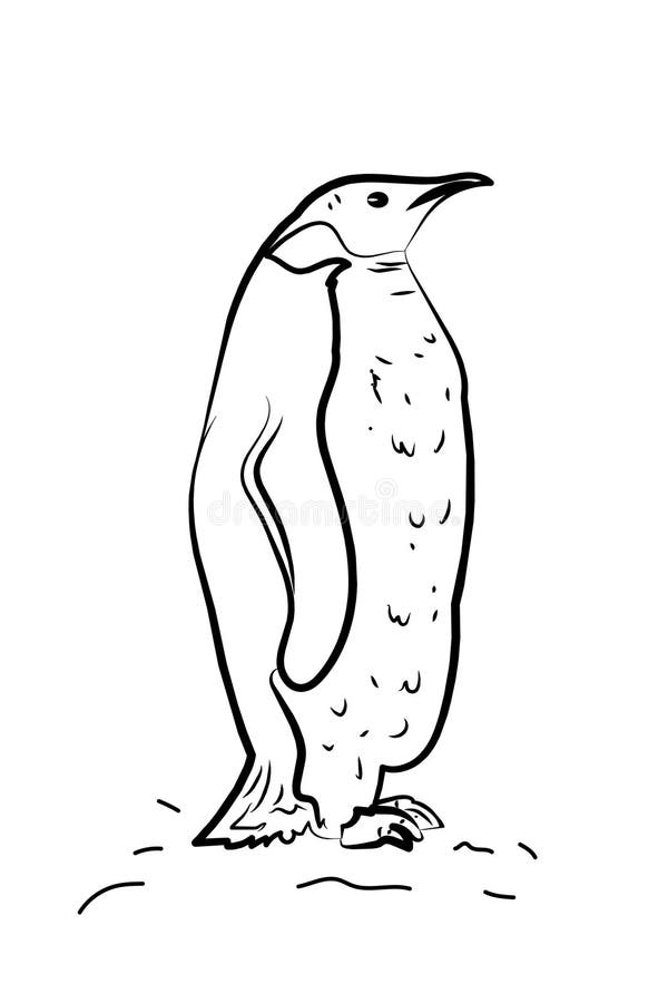 Penguin Line Drawing Stock Illustrations – 3,540 Penguin Line Drawing ...