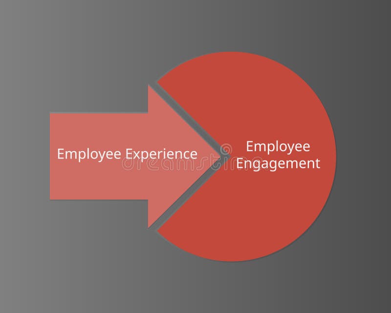Employee Experience Vs Employee Engagement Vector Stock Vector ...