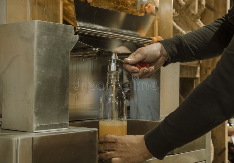 Employee Making Orange Juice Stock Image - Image of people, brunette ...