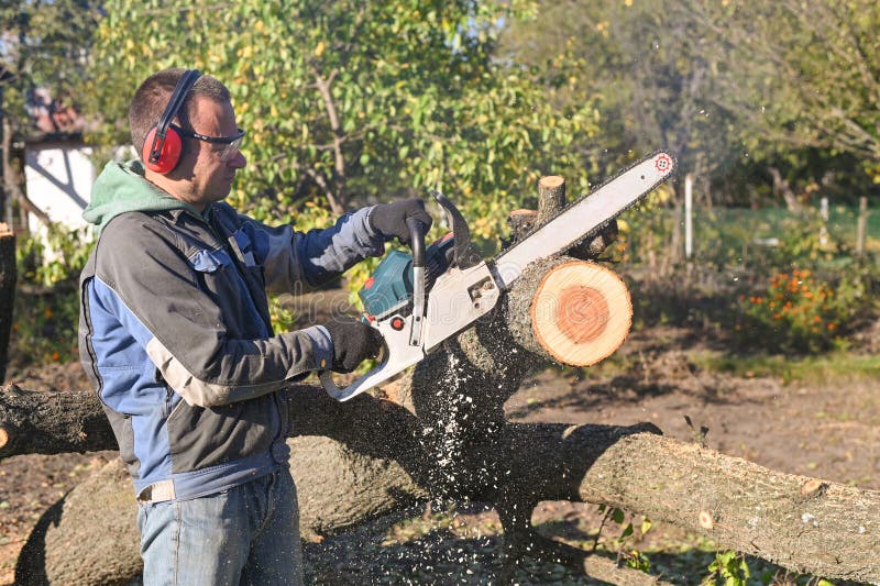 An Employee in Overalls Saws a Tree in the Garden with a Chainsaw ...