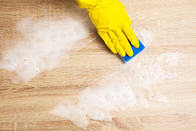 Employee Using Sponge for Cleaning Wood Table Stock Image - Image of ...