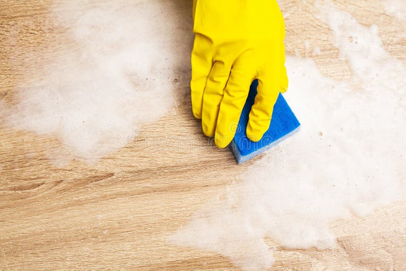 Employee Using Sponge for Cleaning Wood Table Stock Photo - Image of ...