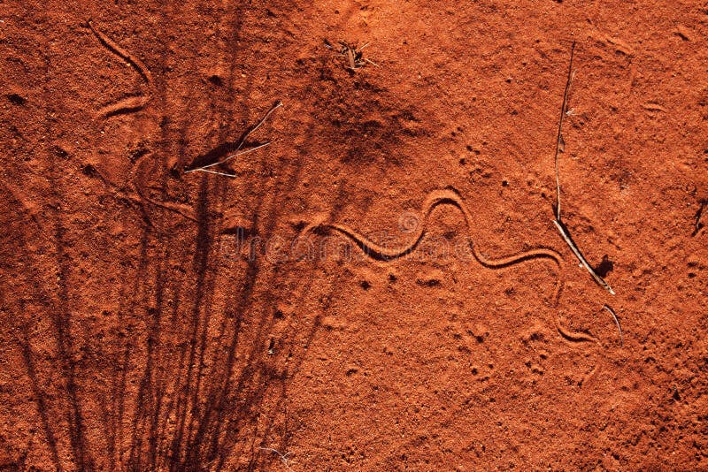 Empreinte De Pas Dans Le Serpent De Sable Image stock - Image du ...