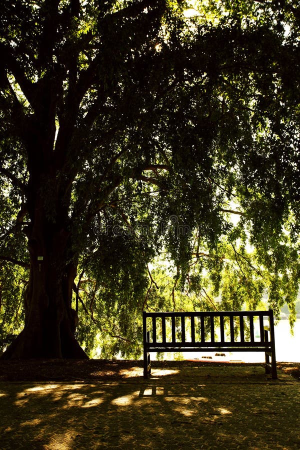 Emptiness stock photo. Image of park, brisbane, outdoor - 1451602