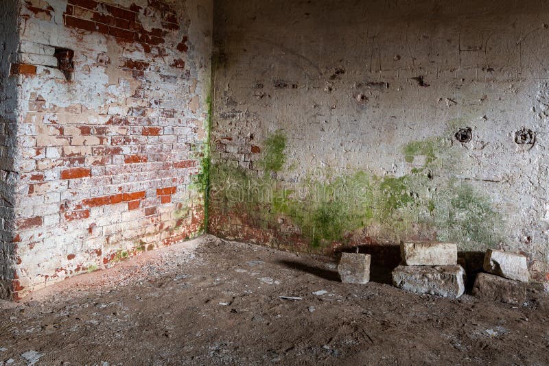 209 Catacomb Wall Texture Stock Photos - Free & Royalty-Free Stock ...