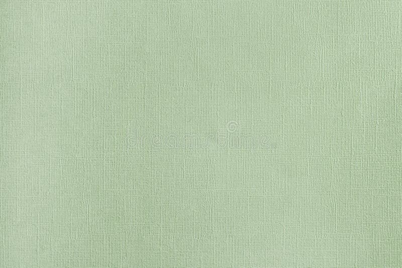 Abstract Background for Layouts. Texture of Dense, Light Green Embossed ...