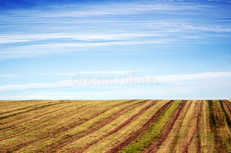 Empty Agricultural Field Under Blue Sky Stock Image - Image of crop ...