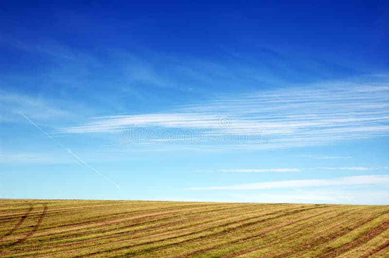 Empty Agricultural Field Under Blue Sky Stock Image - Image of color ...