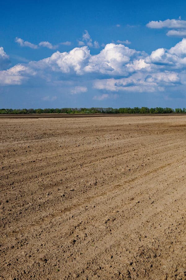 Empty Agricultural Land with Patterned Soil and Clouds Above Stock ...