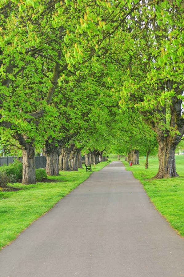 Empty alley stock image. Image of beauty, land, perspective - 54548563