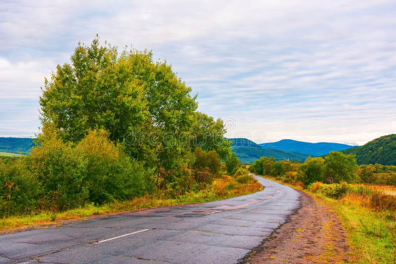 Empty Asphalt Mountain Road Near the Deciduous Forest Stock Image ...