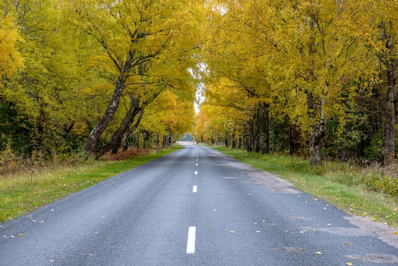Empty Asphalt Road in Autumn Stock Image - Image of empty, asphalt ...