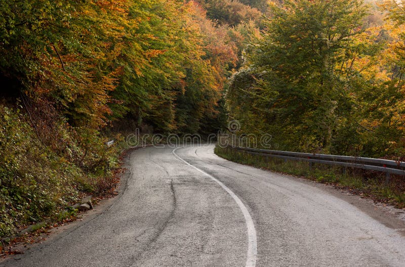 Empty Asphalt Road through the Autumn Forest Stock Photo - Image of ...