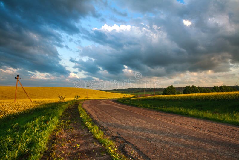 Empty Asphalt Road among Country Green Yellow Fields at Sunset Sky ...