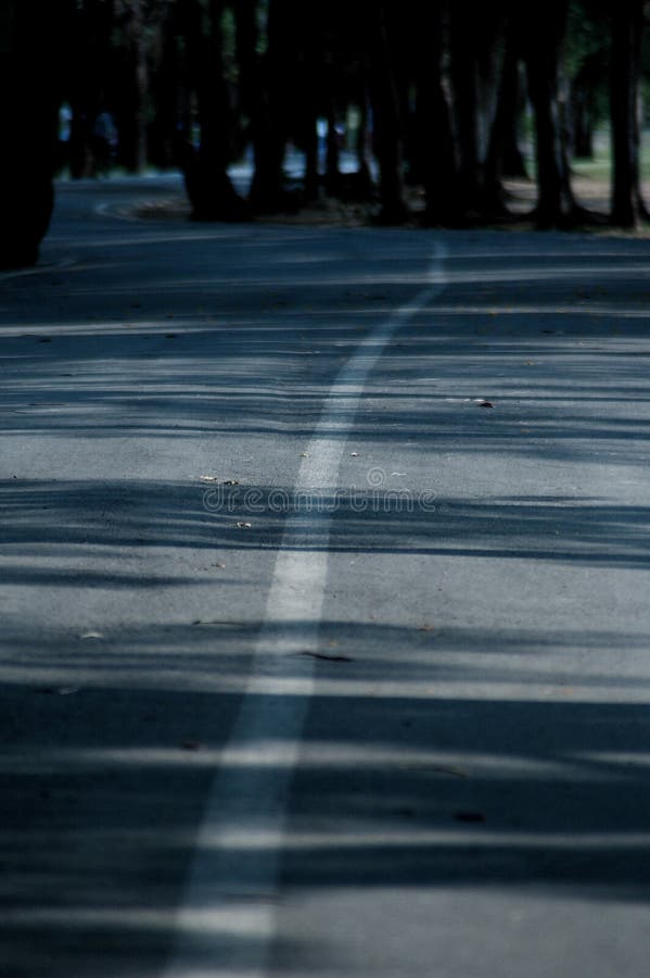 Empty Asphalt Road in Jungle with Trees beside Stock Image - Image of ...