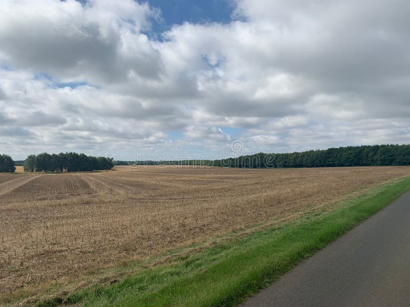 Empty Asphalt Road Passing through Fields and Trees Under a Blue Cloudy ...